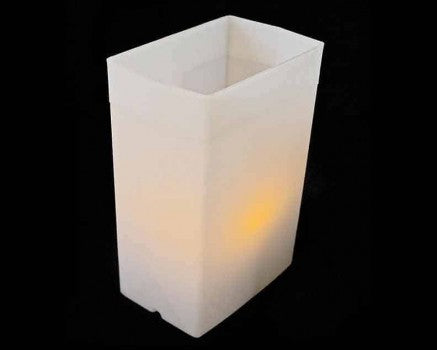 Individual Luminaries – FLIC Luminaries